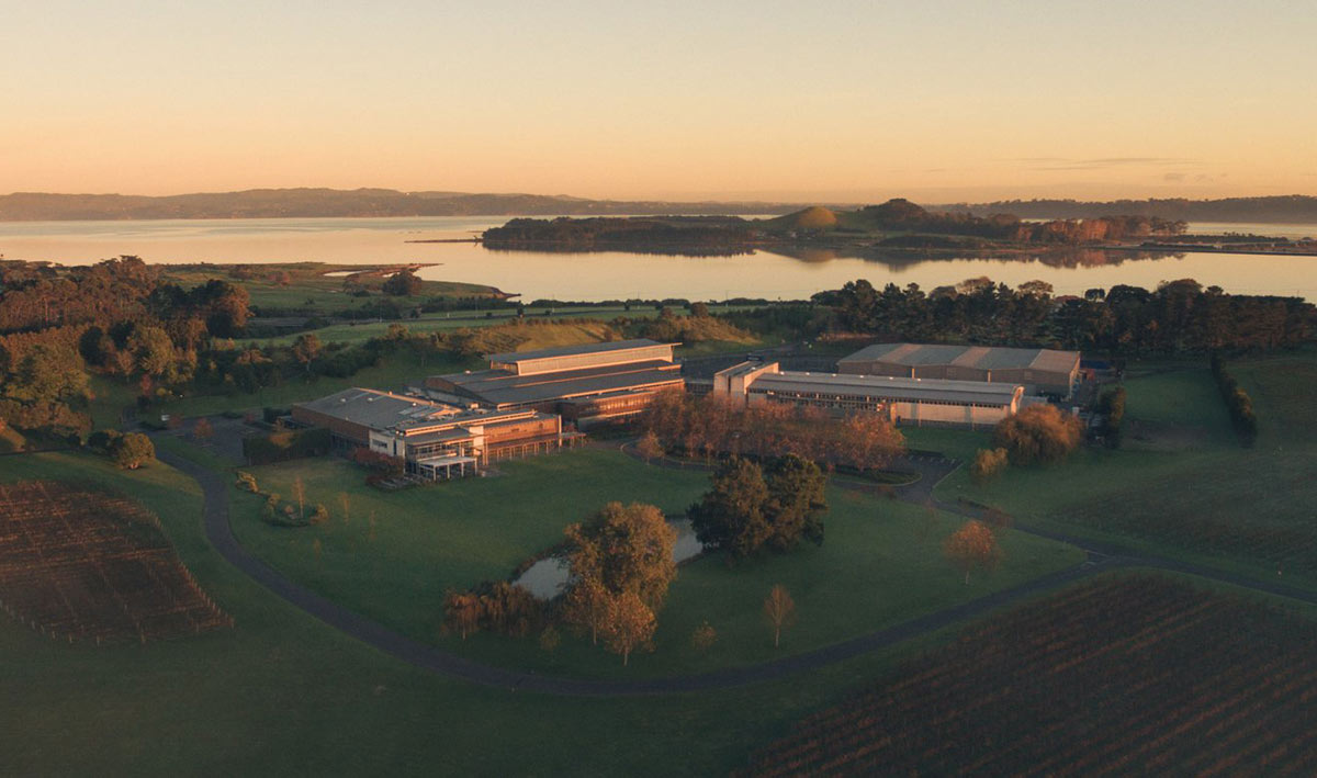 13 Epic Christmas Party Ideas in Auckland